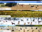 Apps we like for Phase III CVI – Start Seeing CVI