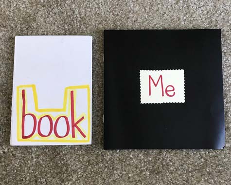 Literacy materials for Phase II and Phase III CVI – Start Seeing CVI