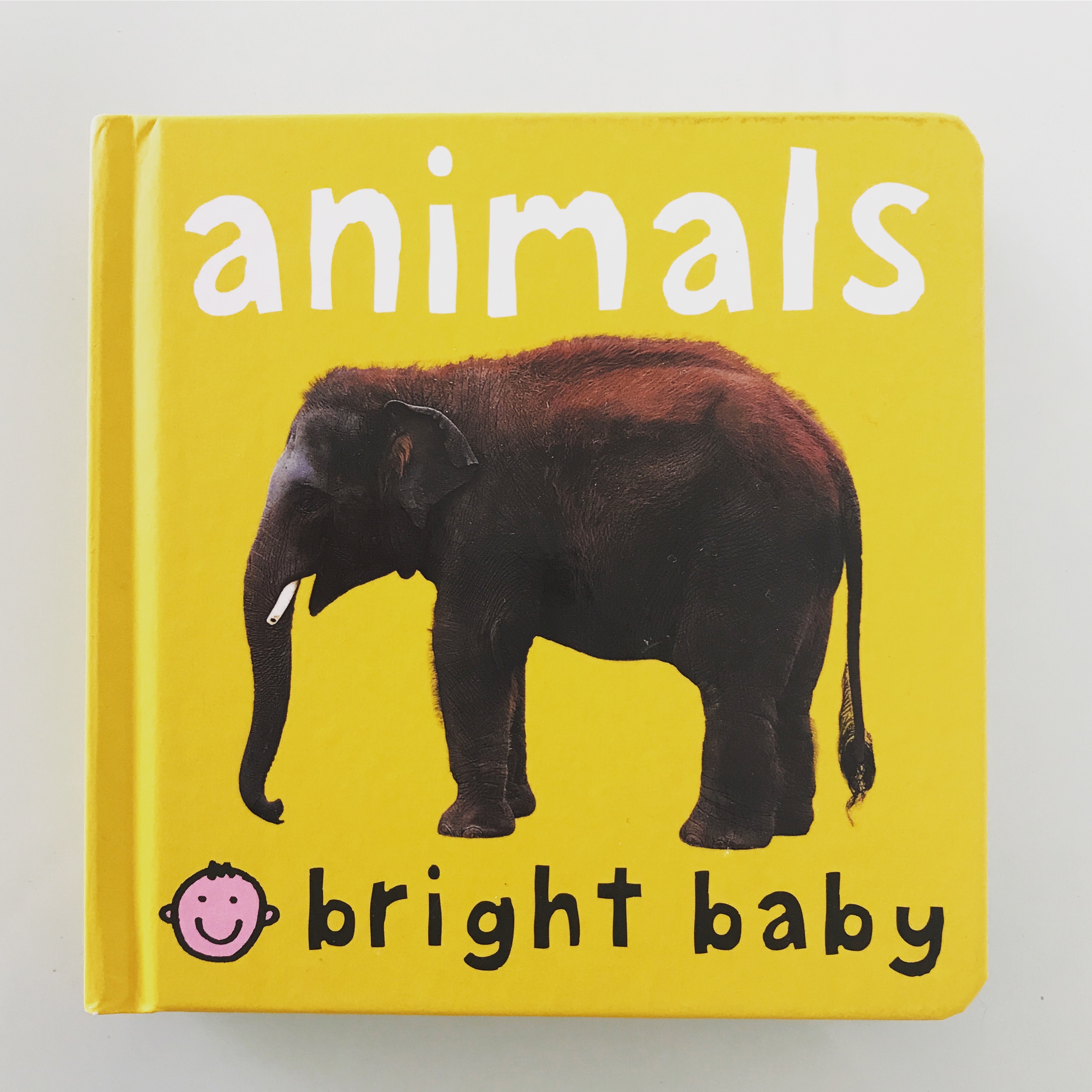 CVI salient features books – Start Seeing CVI