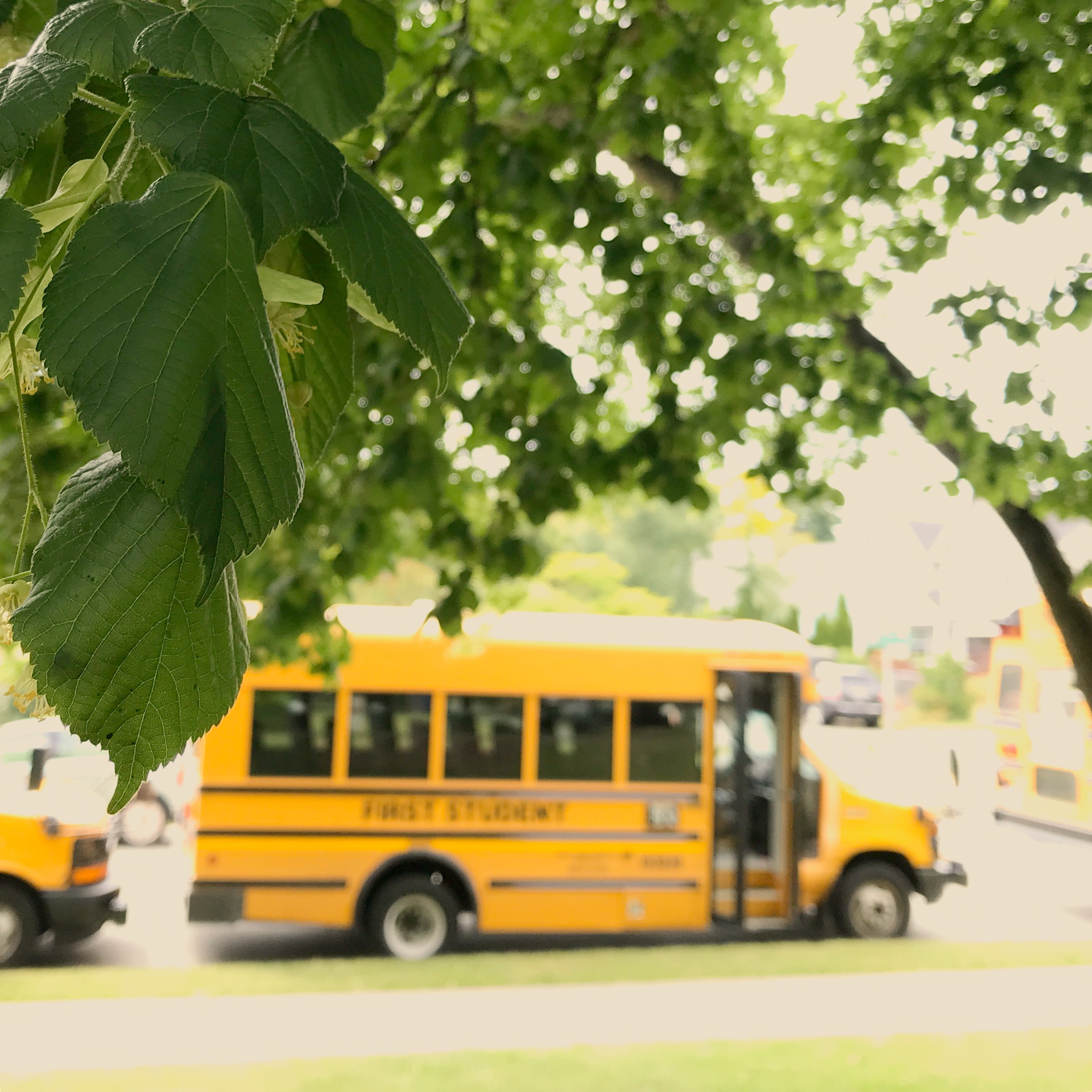 CVI vs. the school bus – Start Seeing CVI