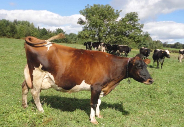 Text Project, a tool for getting started with salient features – Start ...