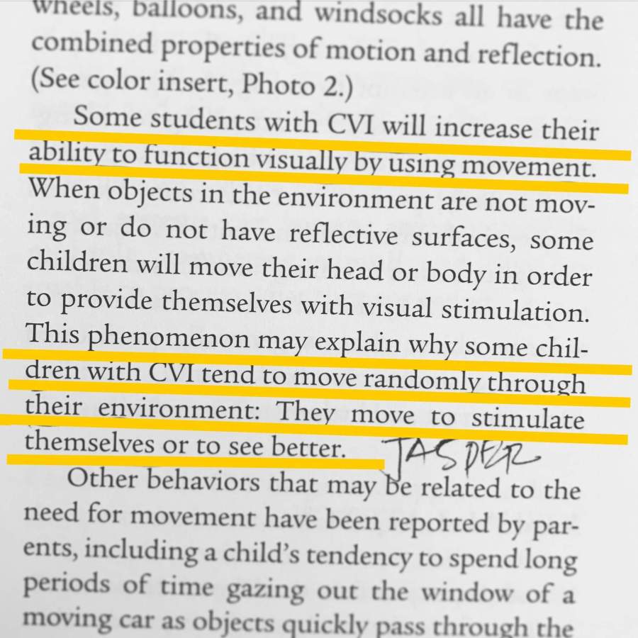 “Cortical Visual Impairment: Advanced Principles” – Start Seeing CVI