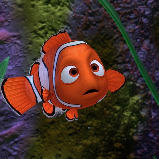 Finding Nemo – Start Seeing CVI